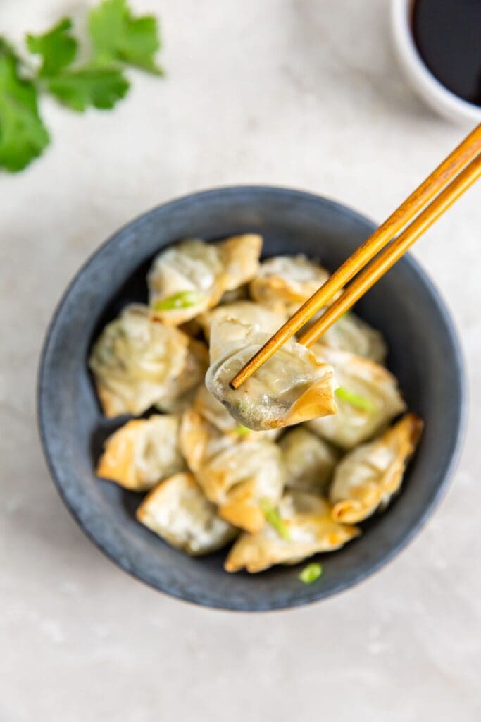 Trader Joe's Air Fryer Chicken Cilantro Mini Wontons
